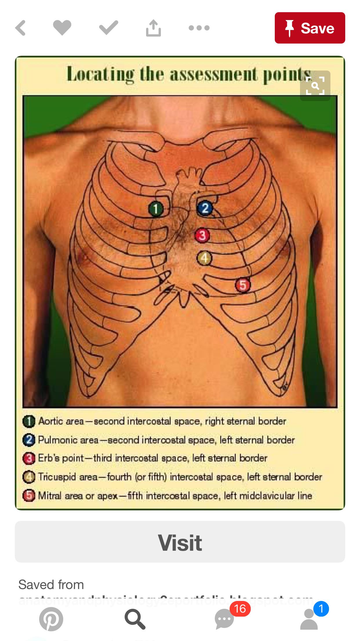 Heart Sound Classification Using Deep Learning Techniques Chord